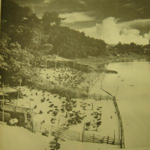 Small Town, Big Dreams: Pateros and its ‘historical’ territory – UP sa ...