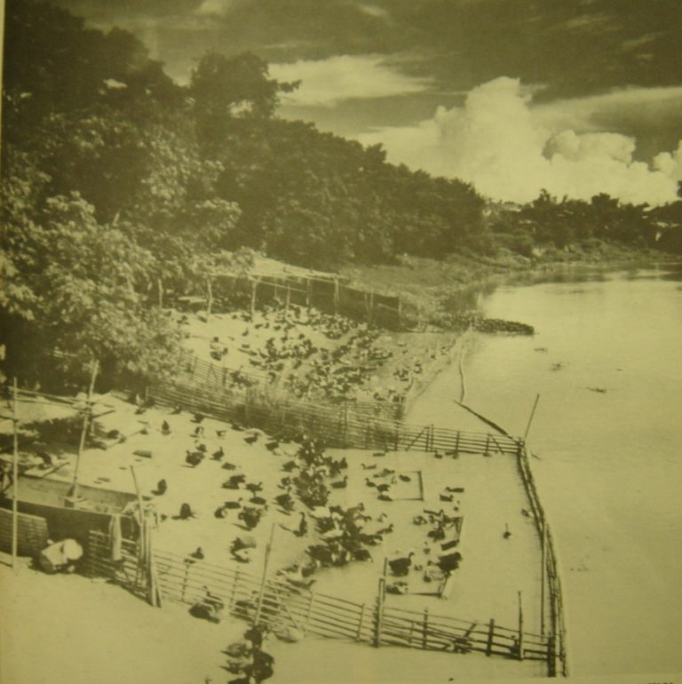 Small Town, Big Dreams: Pateros and its ‘historical’ territory – UP sa ...